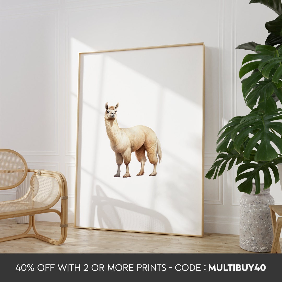 Any Colour - Llama Print - Llama Poster - Llama Art - Animal Print ...