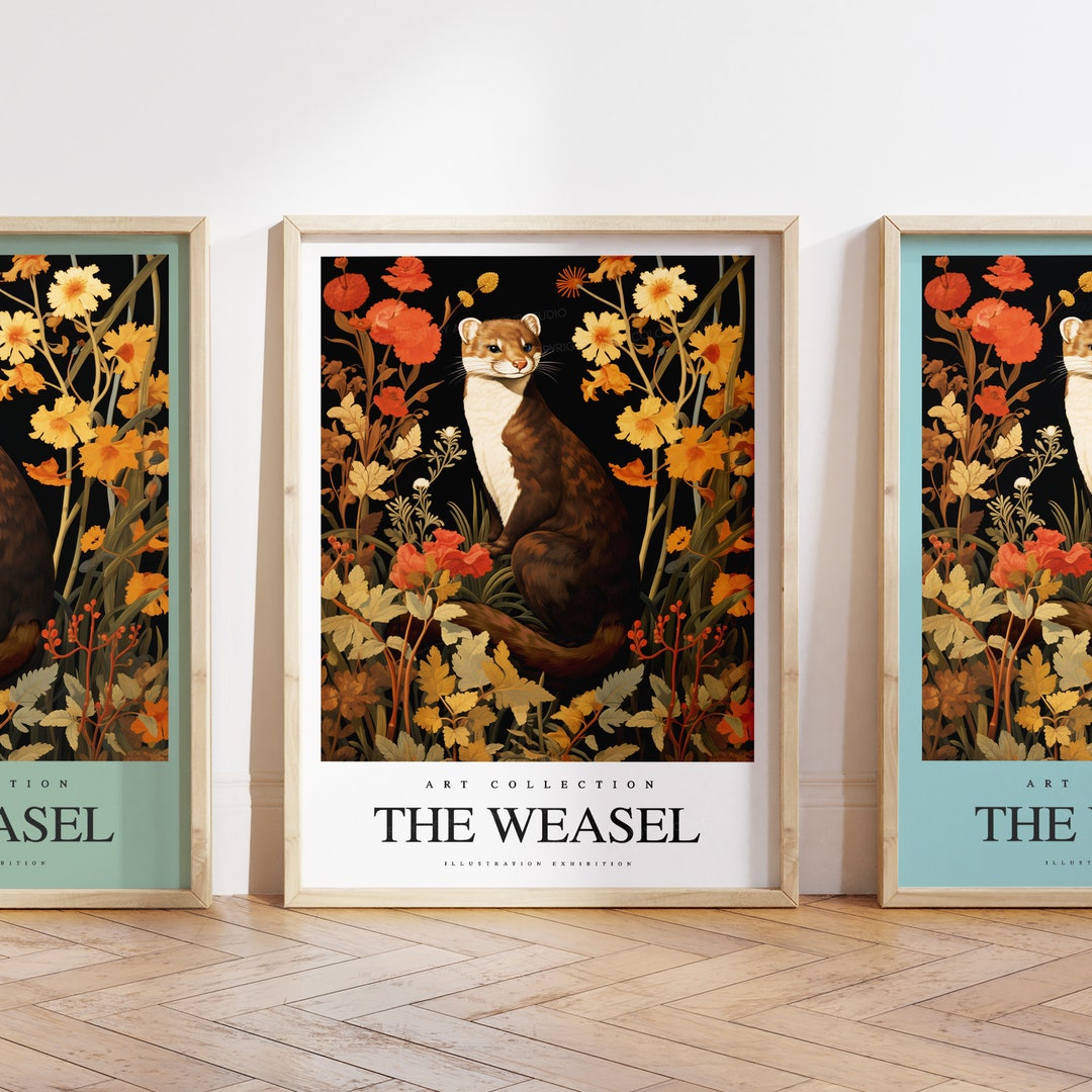 Weasel Poster - Weasel Print - Weasel Art - Animal Art - Animal Print ...