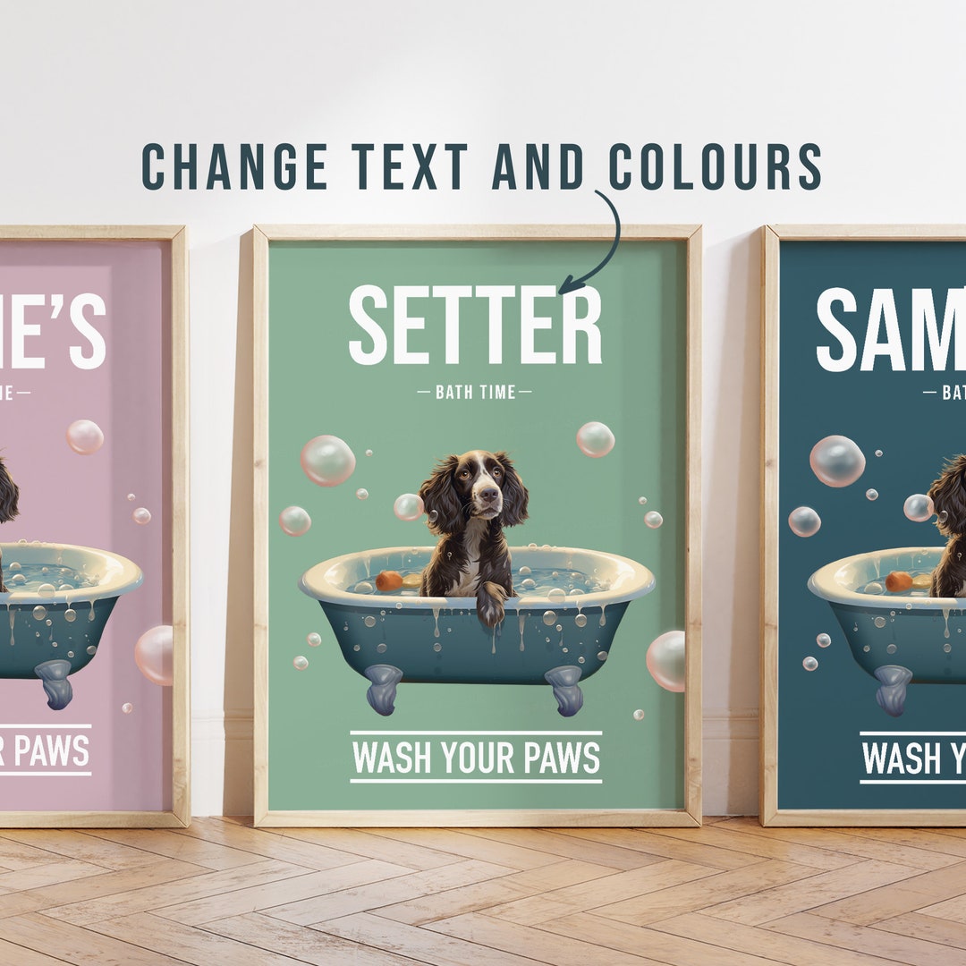 Any Colour - English Setter in Bath Poster - English Setter Poster ...