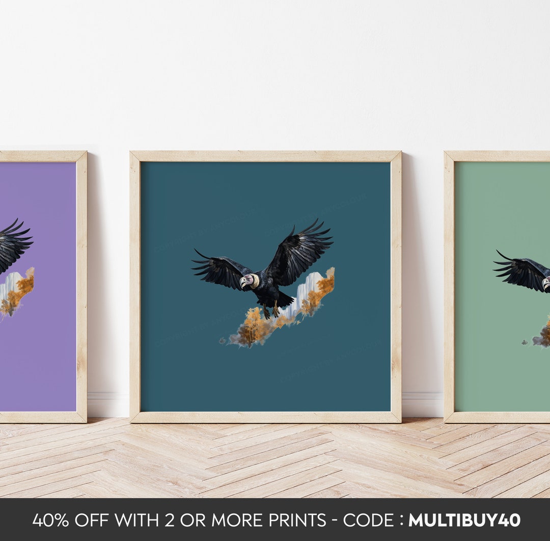 Any Colour - Andean Condor Print - Andean Condor Poster - Andean Condor ...