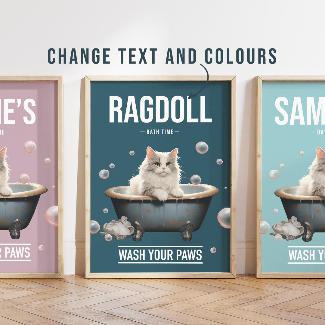 Any Colour - Ragdoll Cat in Bath Poster - Ragdoll Cat Poster - Ragdoll ...