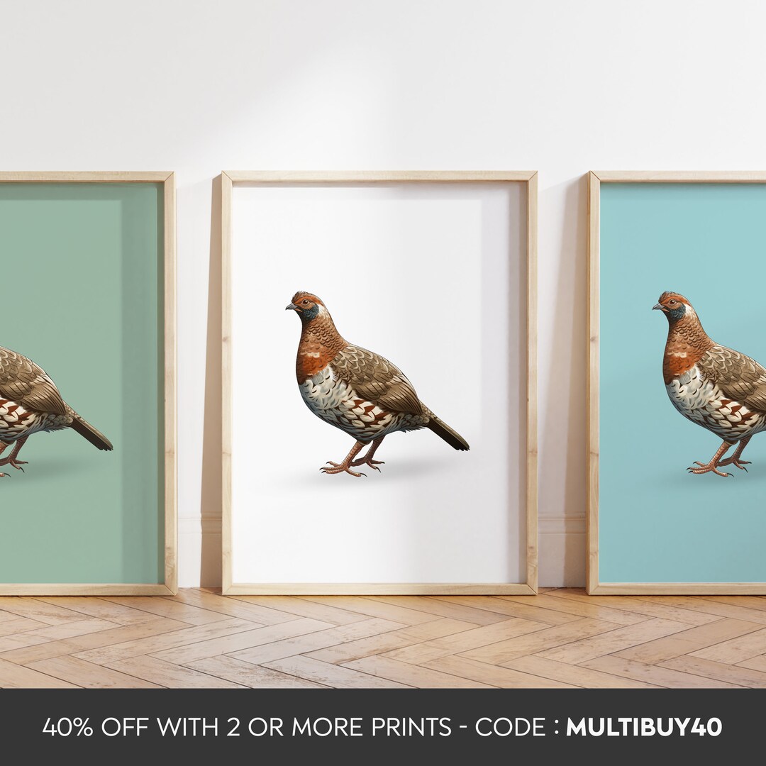 Any Colour - Grouse Print - Grouse Poster - Grouse Art - Bird Prints ...