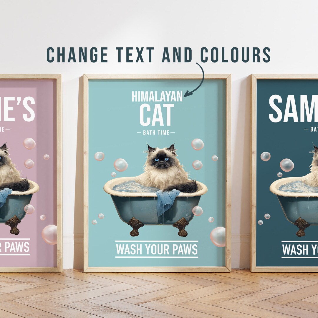 Any Colour - Himalayan Cat in Bath Poster - Himalayan Cat Poster ...