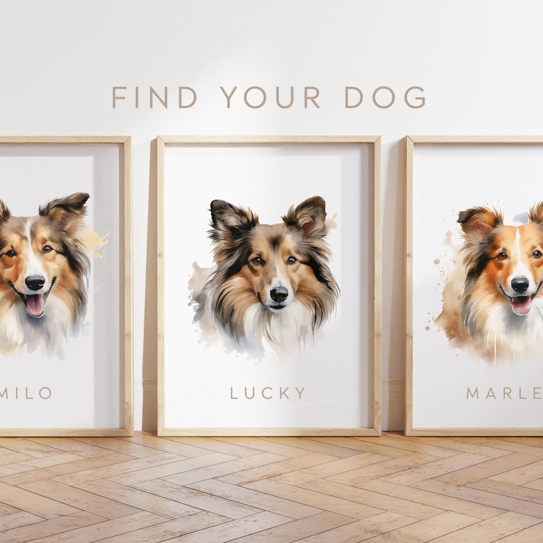 Custom Dog Poster - Sheltie Poster - Shetland Sheepdog Dog Print ...