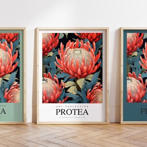 Any Colour - Protea Print - Protea Flowers Poster - Protea Art ...