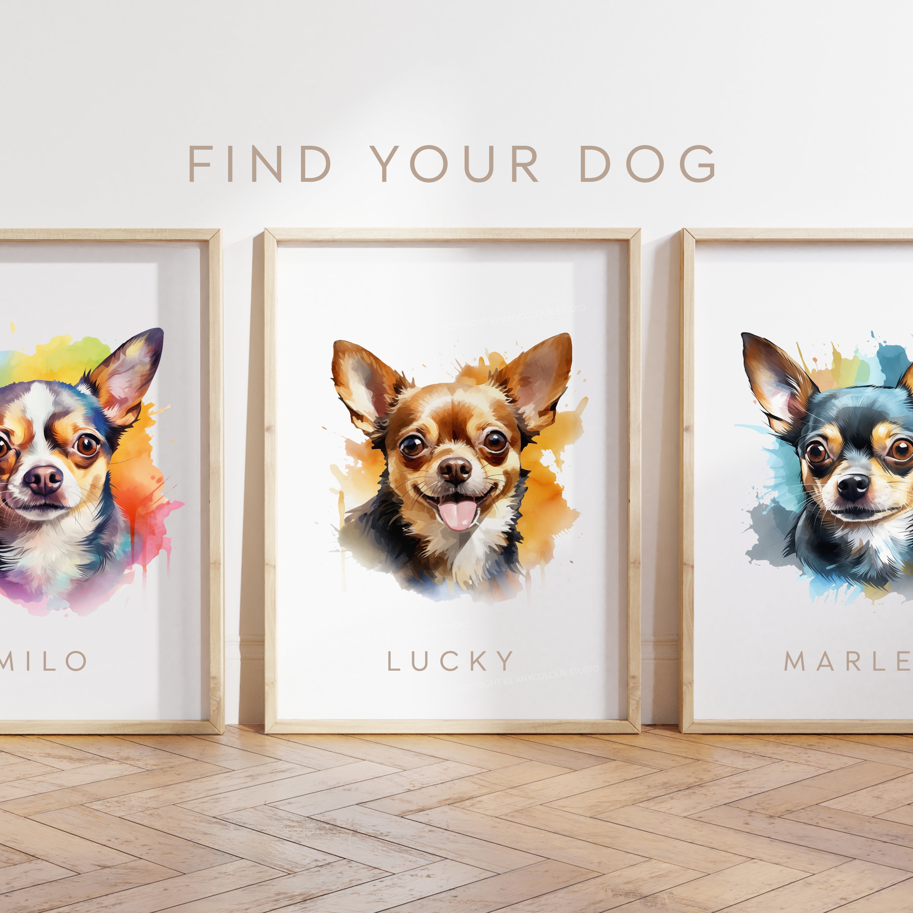 Custom Dog Poster Chihuahuas Poster Chihuahuas Print Chihuahuas Puppy ...