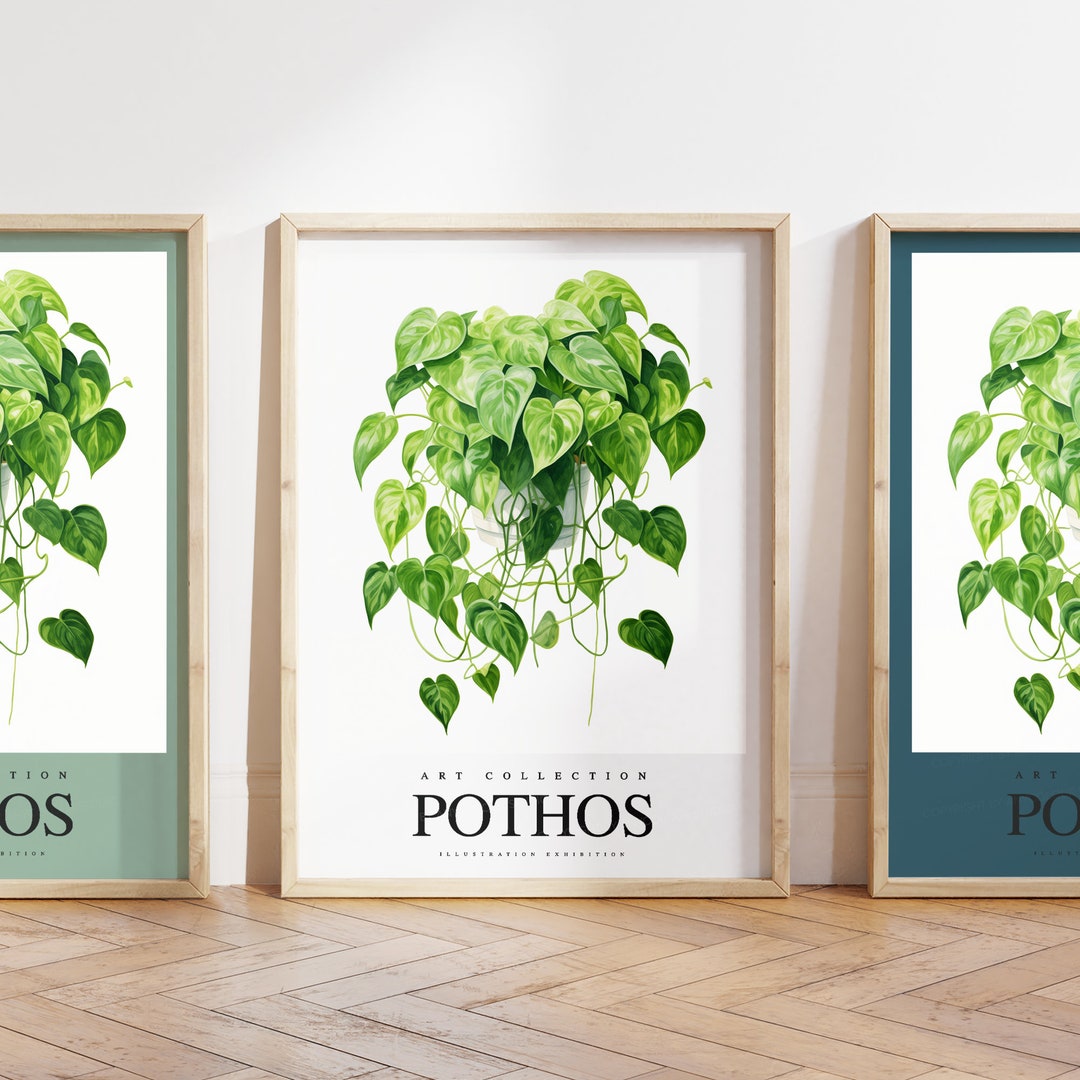 Any Colour - Pothos Print - Pothos Poster - Pothos Plant Art - House ...