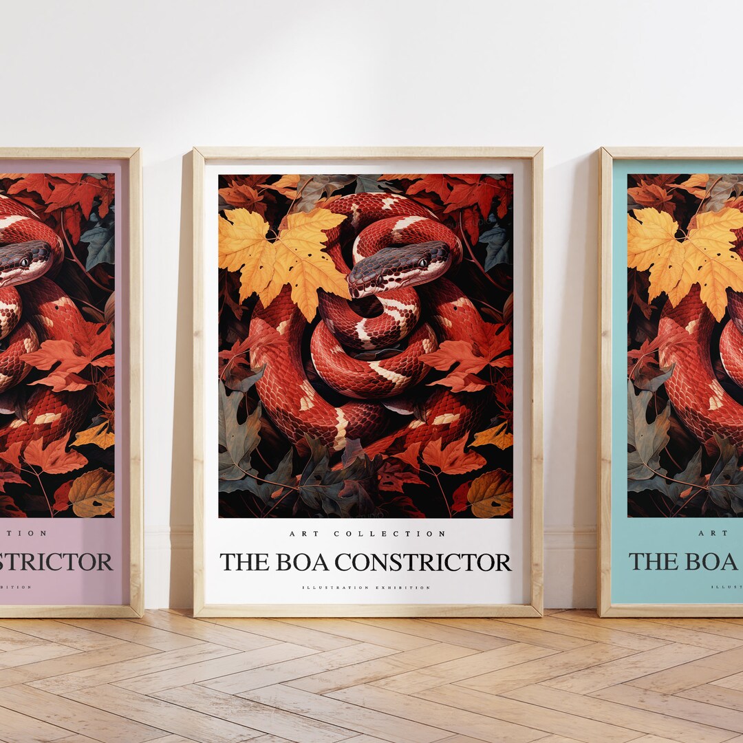 Any Colour - Boa Constrictor Print - Boa Constrictor Poster - Boa ...