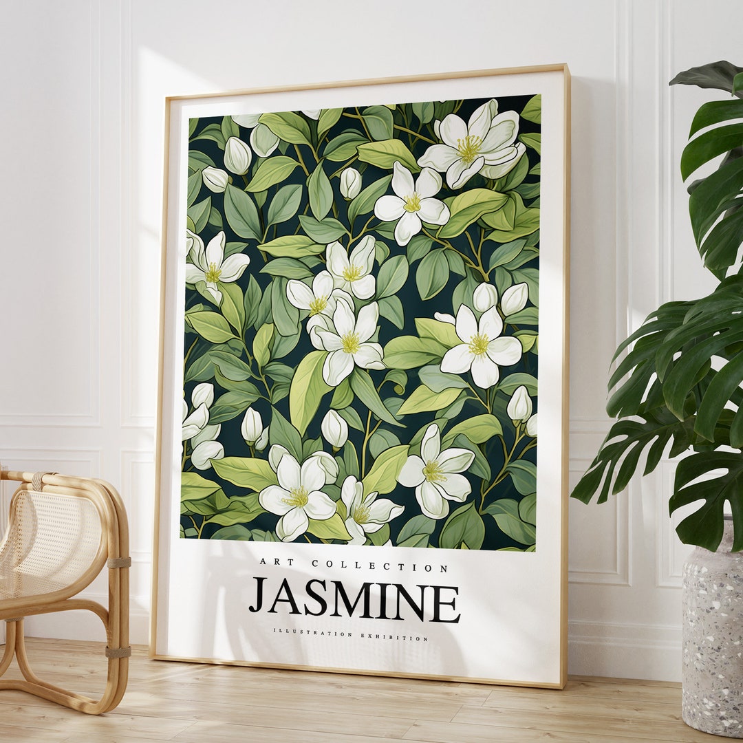 Any Colour - Jasmine Print - Jasmine Flowers Poster - Jasmine Art ...
