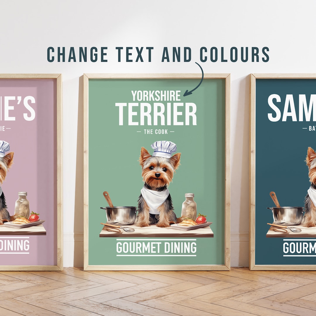 Any Colour - Yorkshire Terrier in Kitchen Poster - Yorkshire Terrier ...