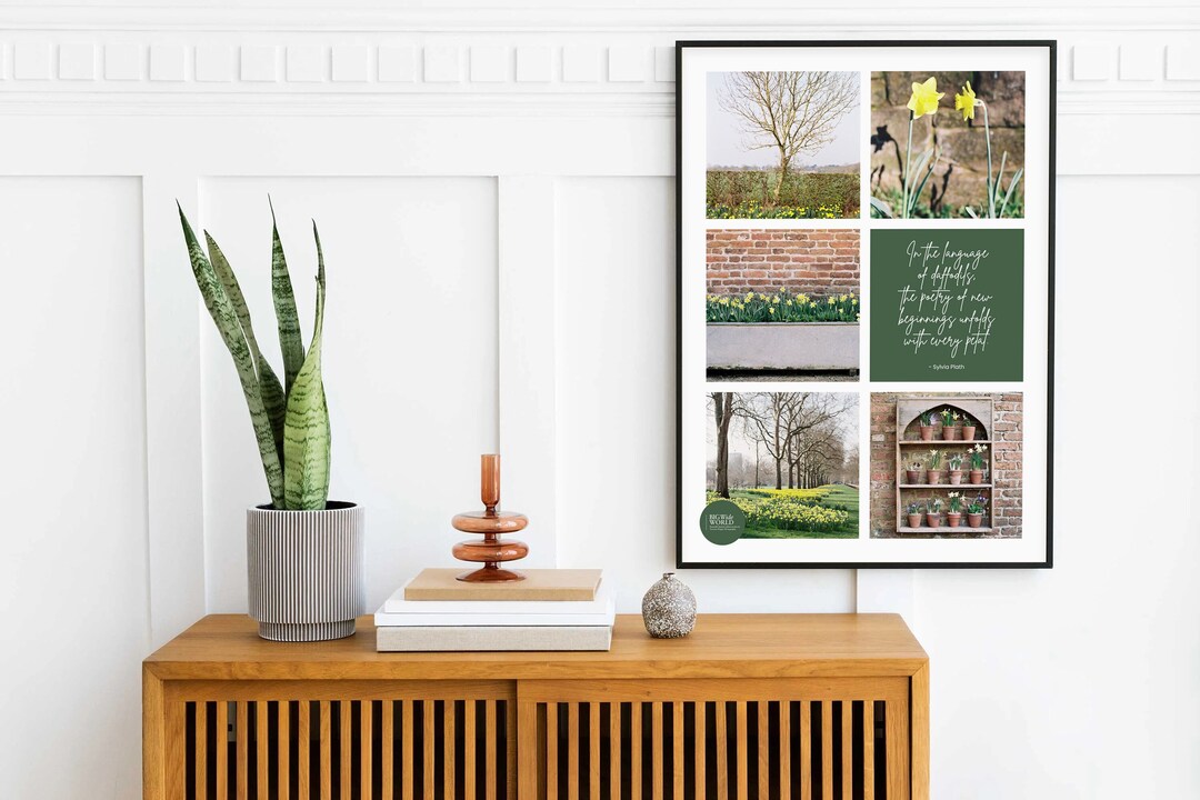Daffodil Collage Poster Premium Fine Art Photography Botany Print ...