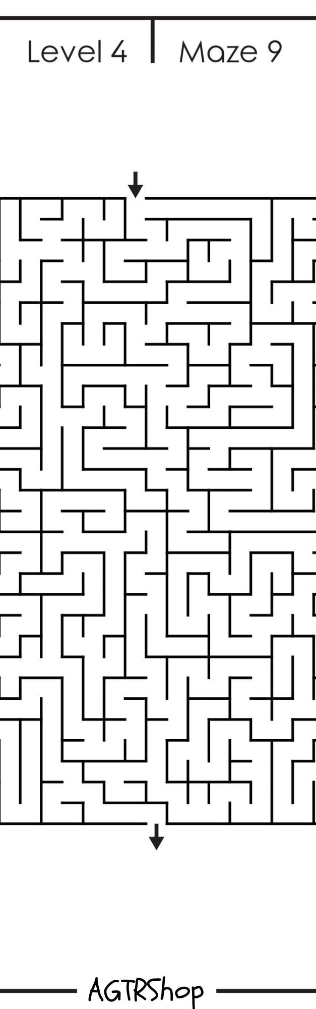 20 Maze Puzzle Pages Printable Mazes for Kids and Adults PDF Level 4 - Etsy