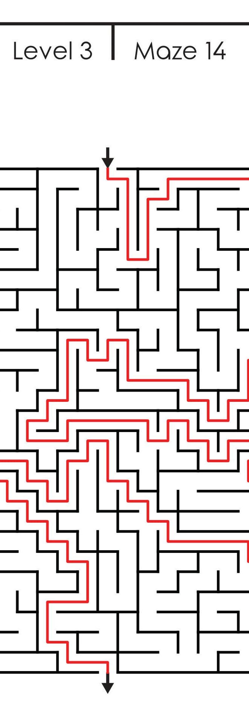 20 Maze Puzzle Pages - Printable Mazes for Kids and Adults - PDF ...