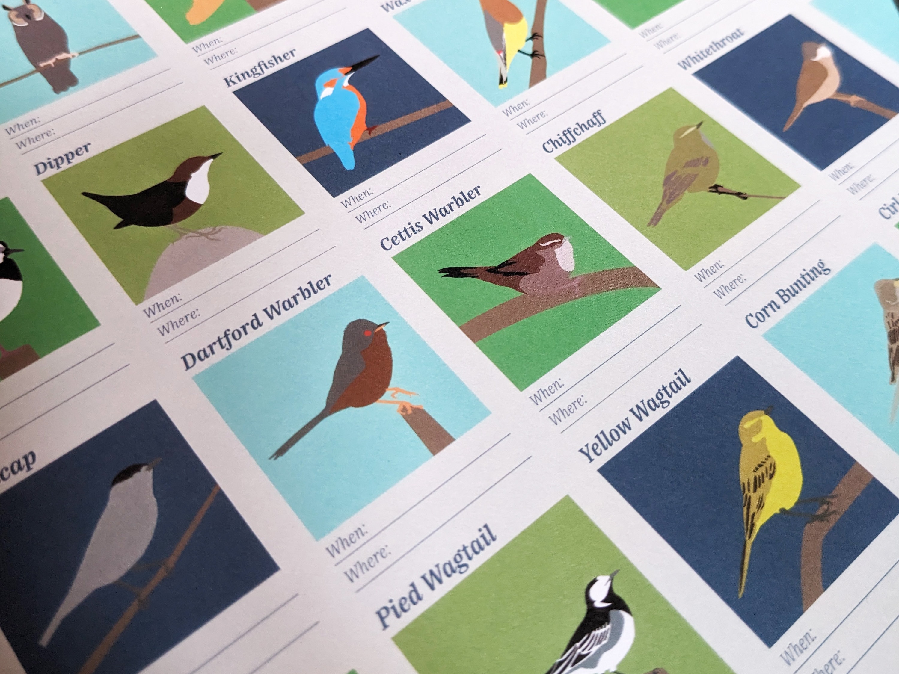 British Birds Poster – Illustrated Checklist, Birdwatching Gift - Etsy