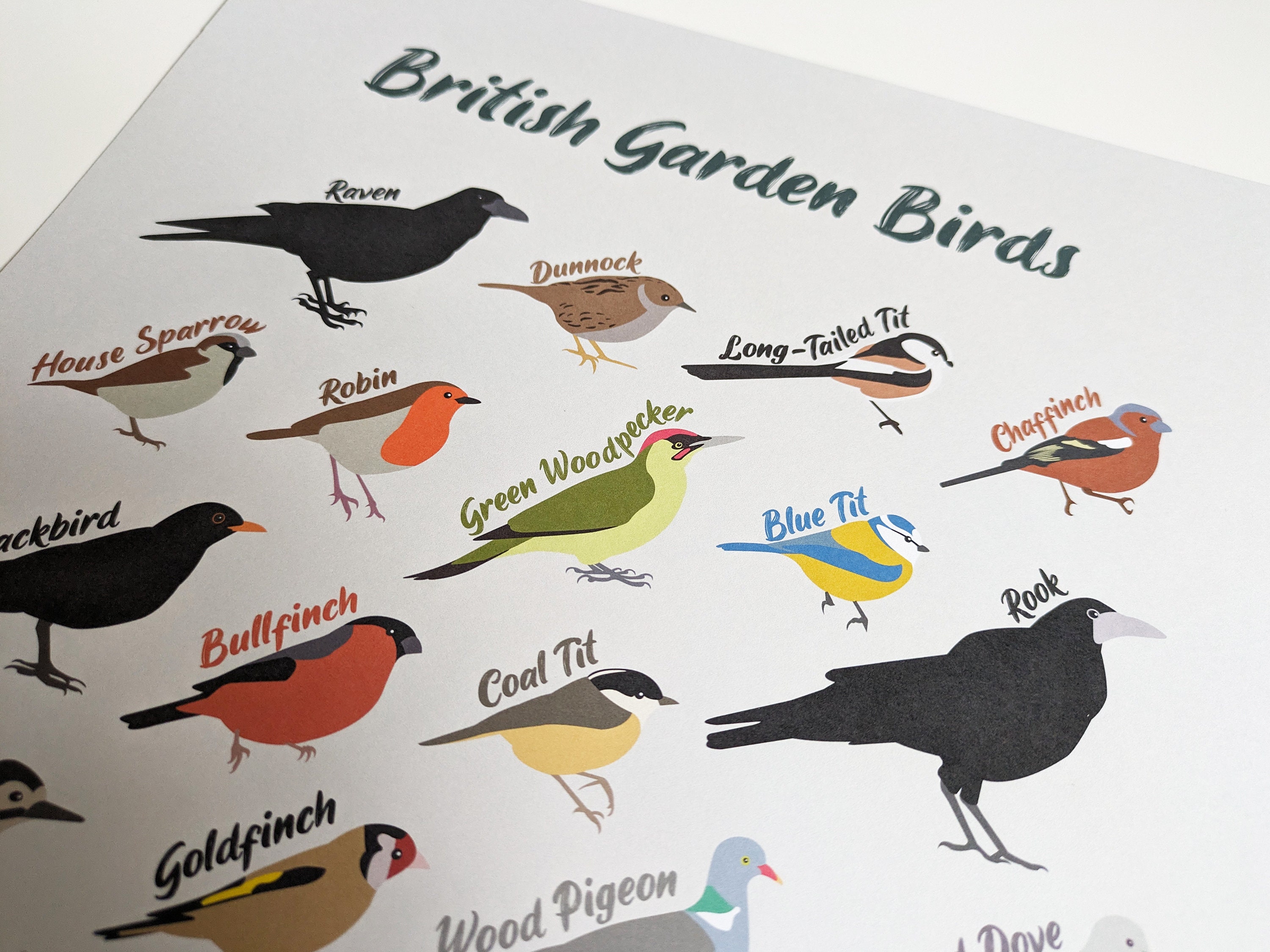 Free British Birds Poster
