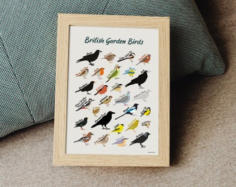 British Garden Birds A3 Identification Poster, Wildlife Chart, Nature ...