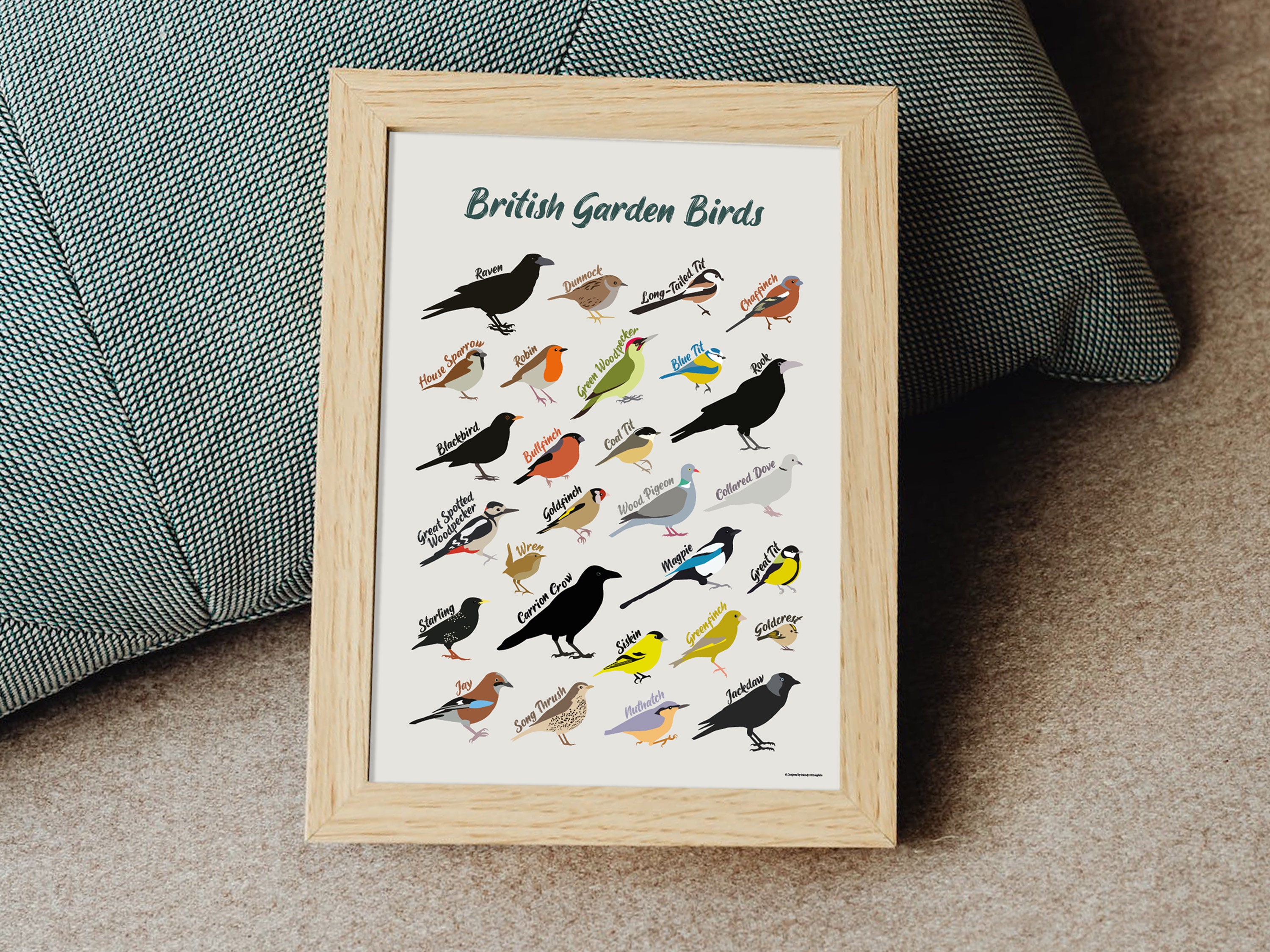 British Garden Birds Poster Illustrated Garden Birds Poster A5 A4 A3 ...