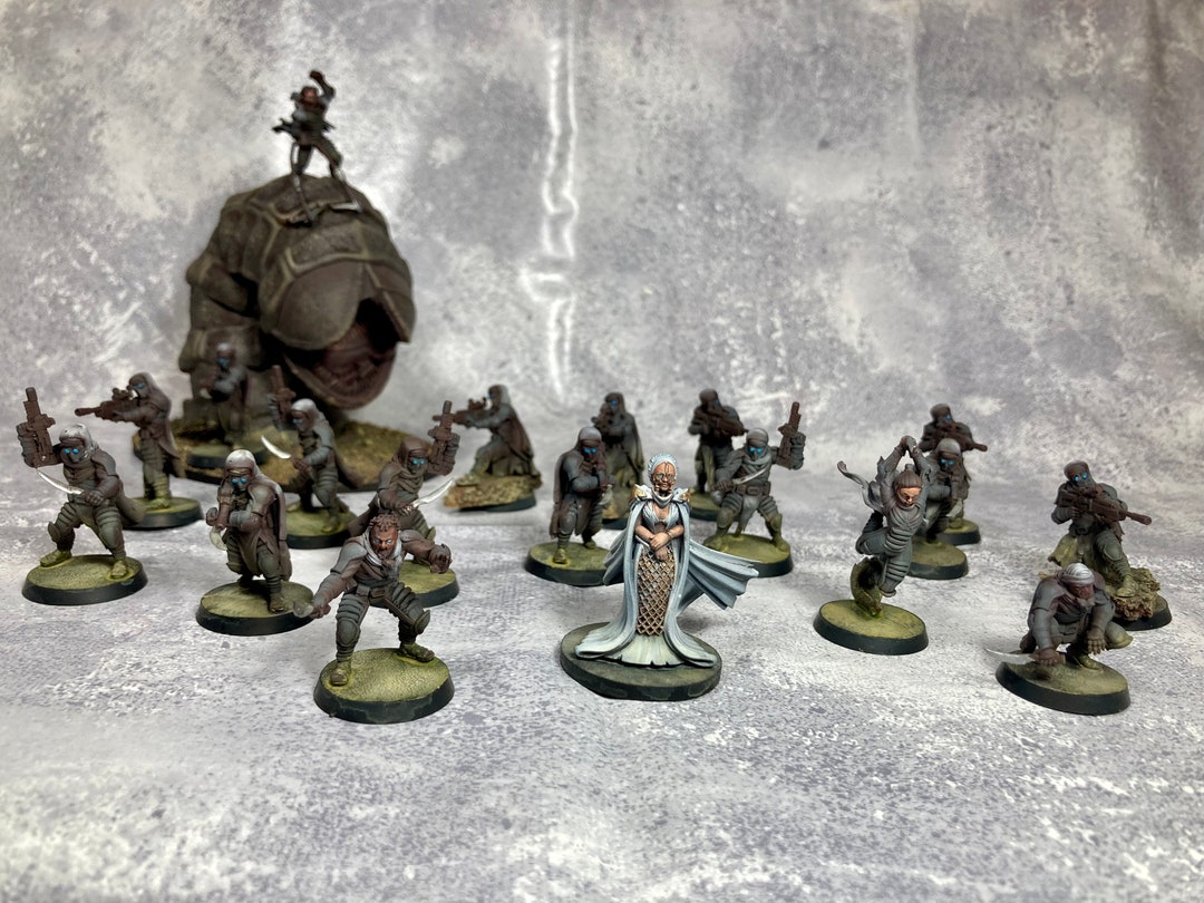 CUSTOM ARMY SAMPLE - Warhammer 40K Villeneuve's Dune Inspired Fremen ...