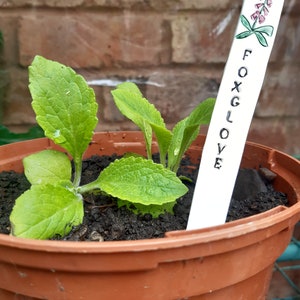 Flower Seed Markers Plant Markers Garden Seed Labels Garden Decor ...