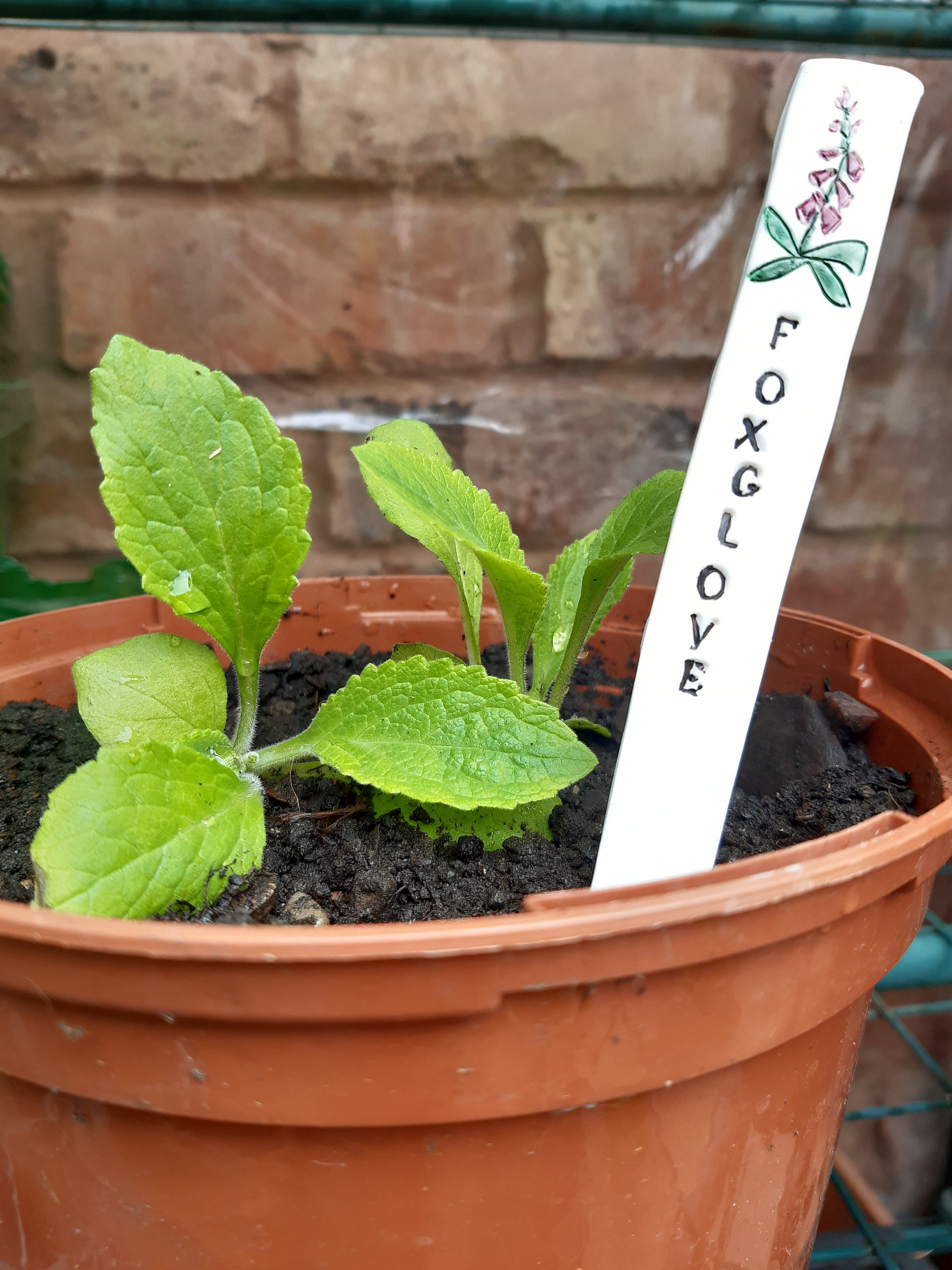 Flower Seed Markers Plant Markers Garden Seed Labels Garden Decor ...