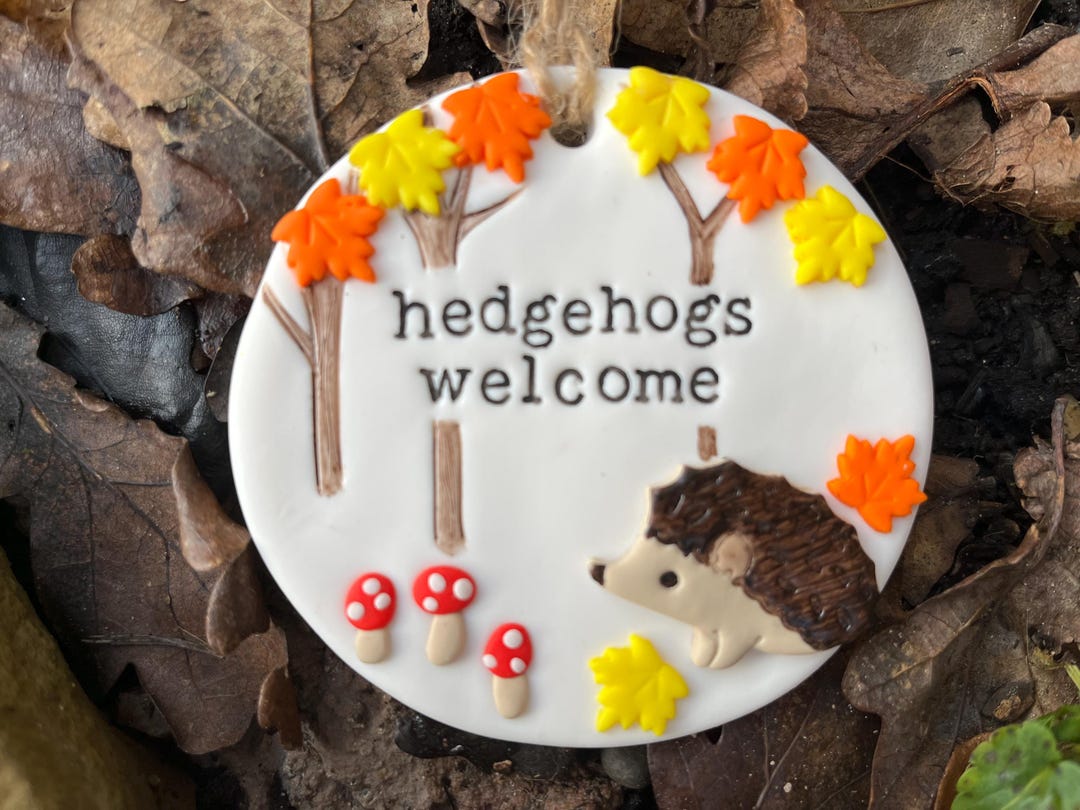 Mini Hedgehog Sign. 8cm. Hedgehog House Sign. Hedgehog Highway ...