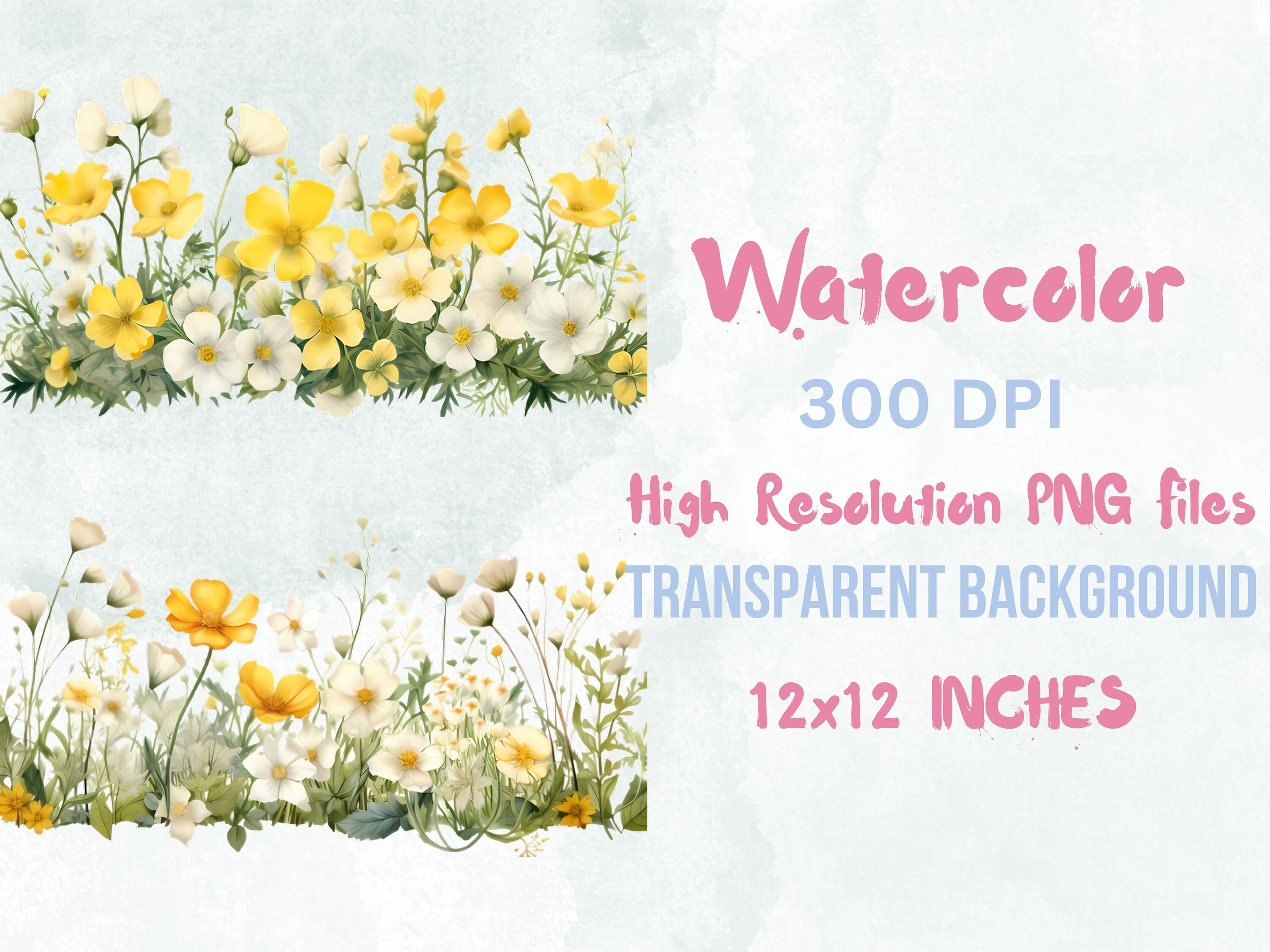 Watercolor Yellow & White Primrose Borders Wildflower Clipart PNG ...