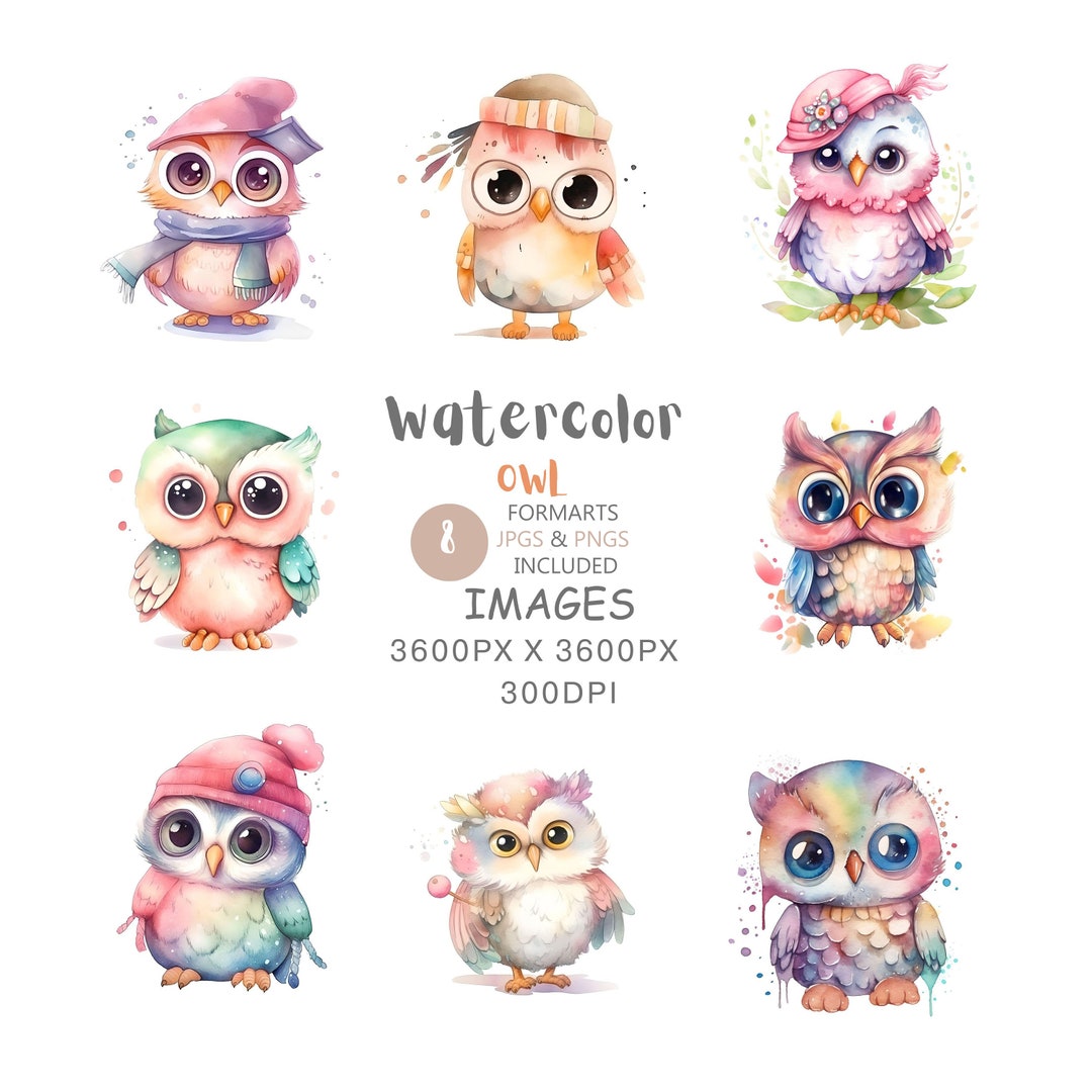 Watercolor Kawaii Owl Clipart Bundle Commercial Use Cute - Etsy