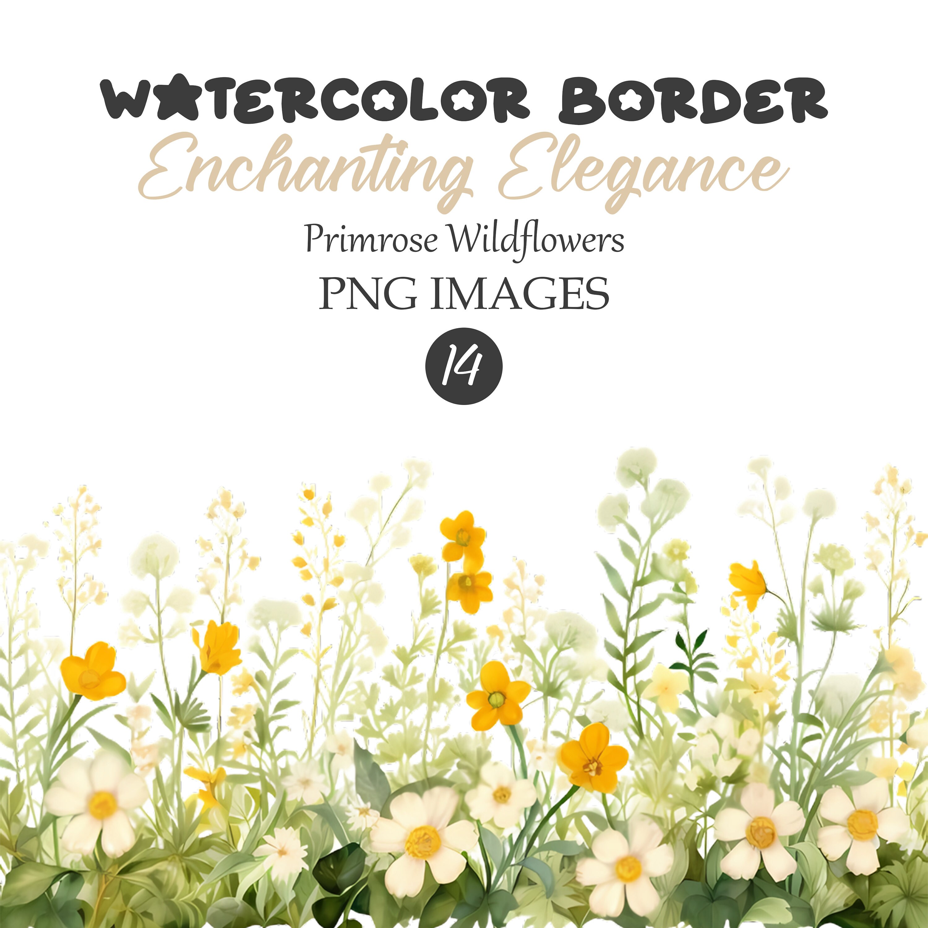 Watercolor Yellow & White Primrose Borders Wildflower Clipart PNG ...