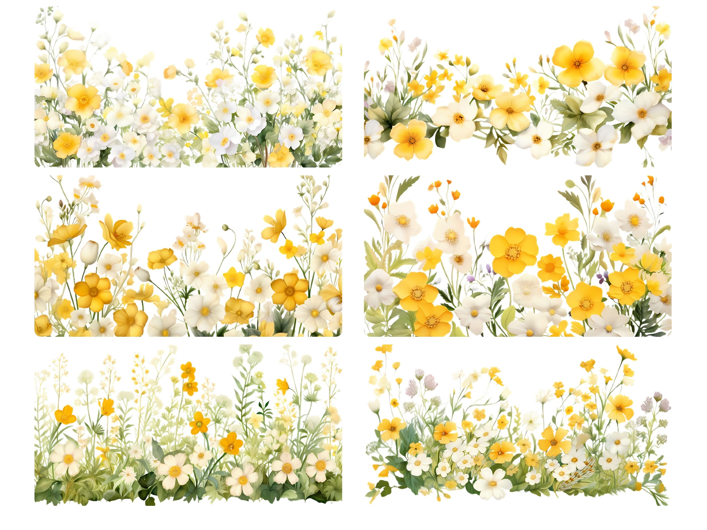 Watercolor Yellow & White Primrose Borders Wildflower Clipart PNG ...