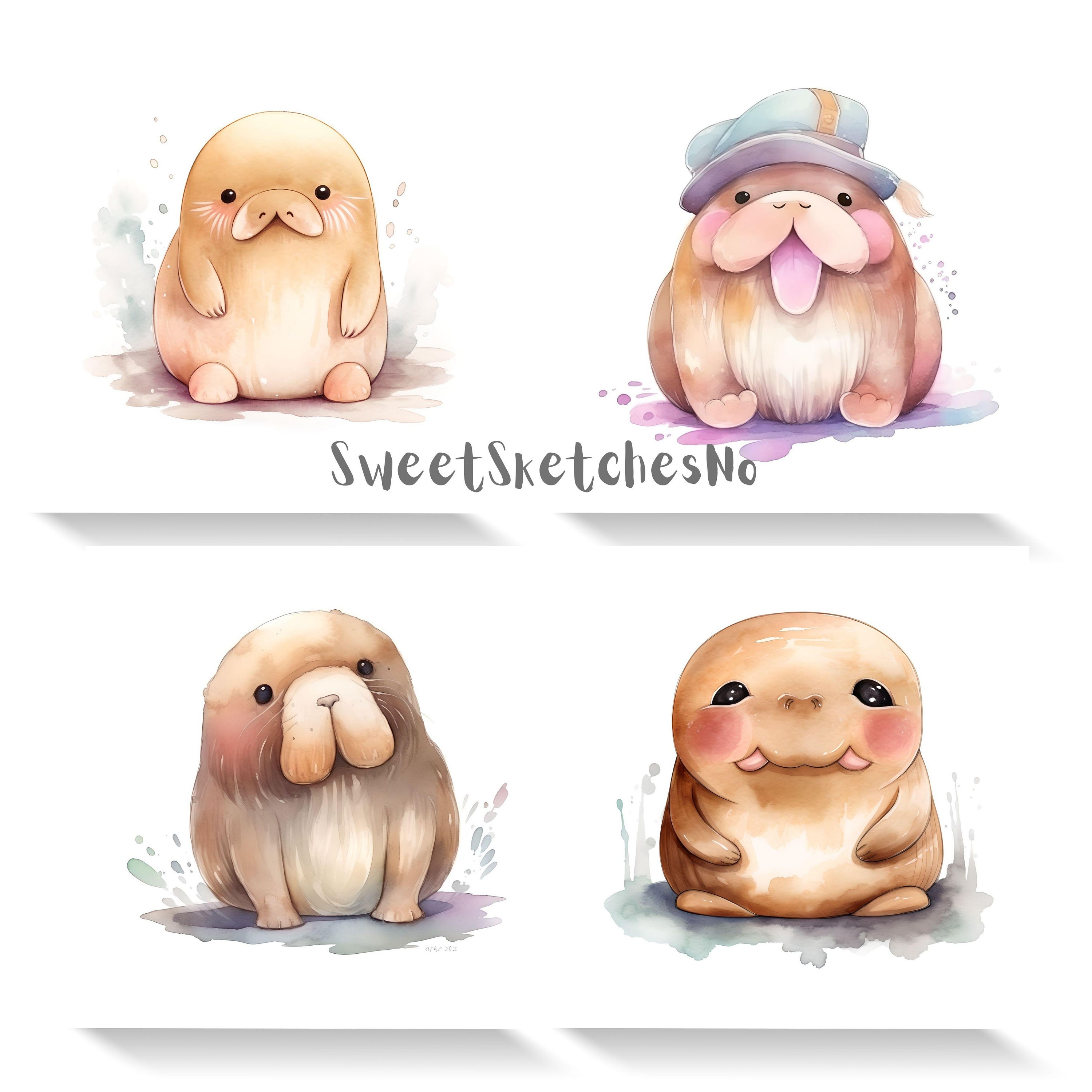 Watercolor Kawaii Walrus Clipart Bundle Commercial Use - Etsy