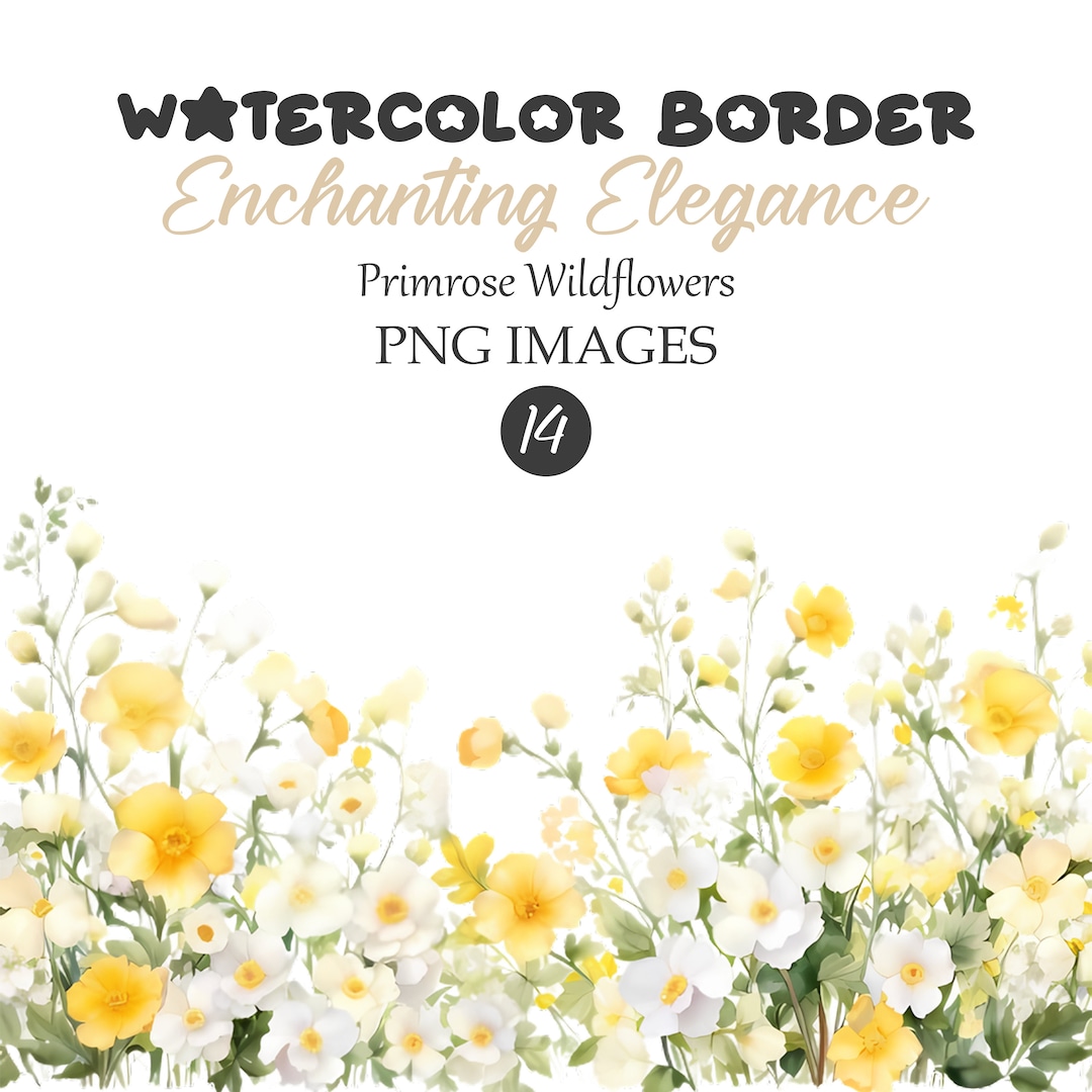 Watercolor Yellow & White Primrose Borders Wildflower Clipart PNG ...
