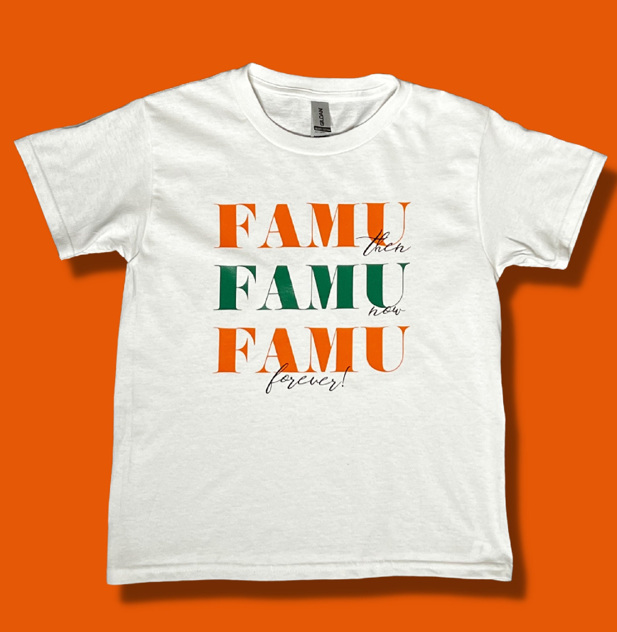 FAMU Tshirt, HBCU Shirt, Florida A&M - Etsy