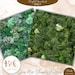 Green Moss Seamless Digital Paper, Realistic Moss Seamless Pattern ...