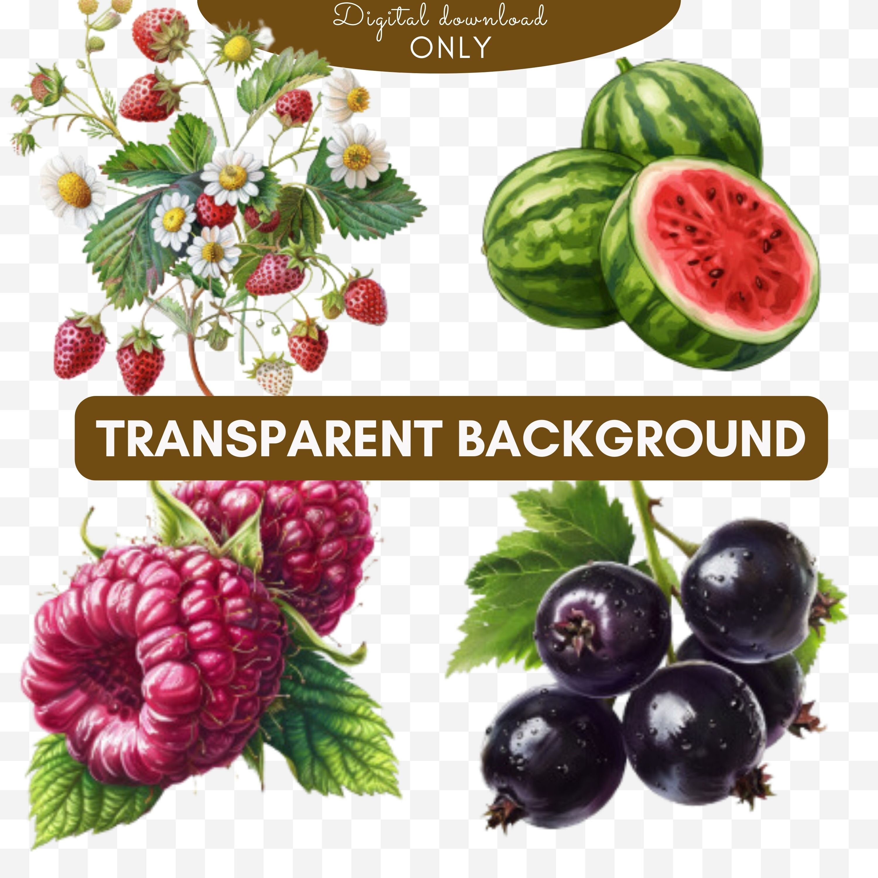 Watercolor Summer Fruit Clipart, Berry Clipart Bundle, Watercolor ...