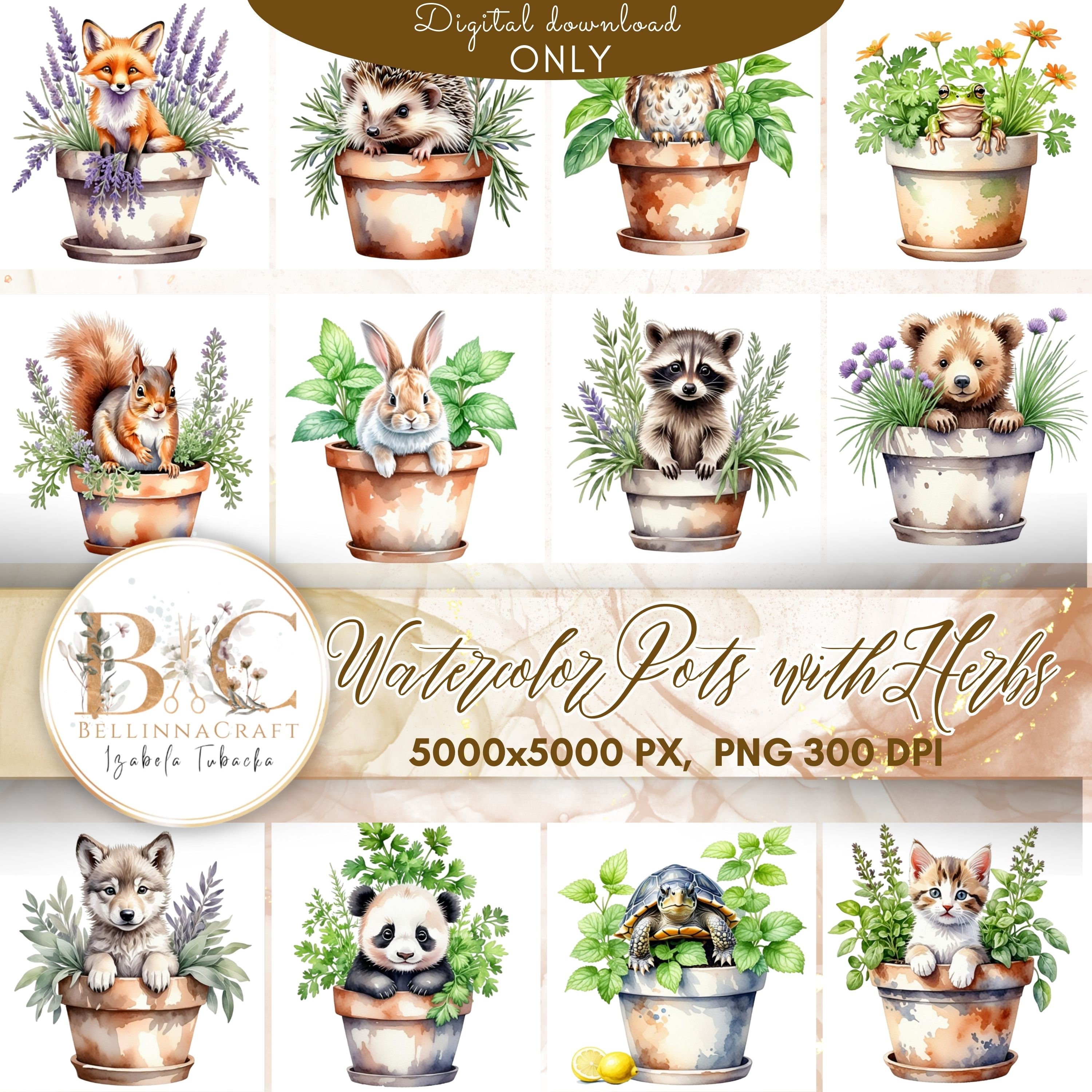 Watercolor Pots With Herbs and Animals Clipart, PNG, Cute Animals ...