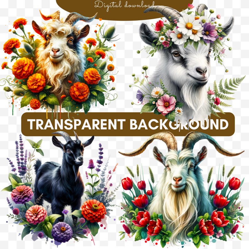 Watercolor Floral Goat Clipart Bundle, Farm Animal Illustrations, Cute ...