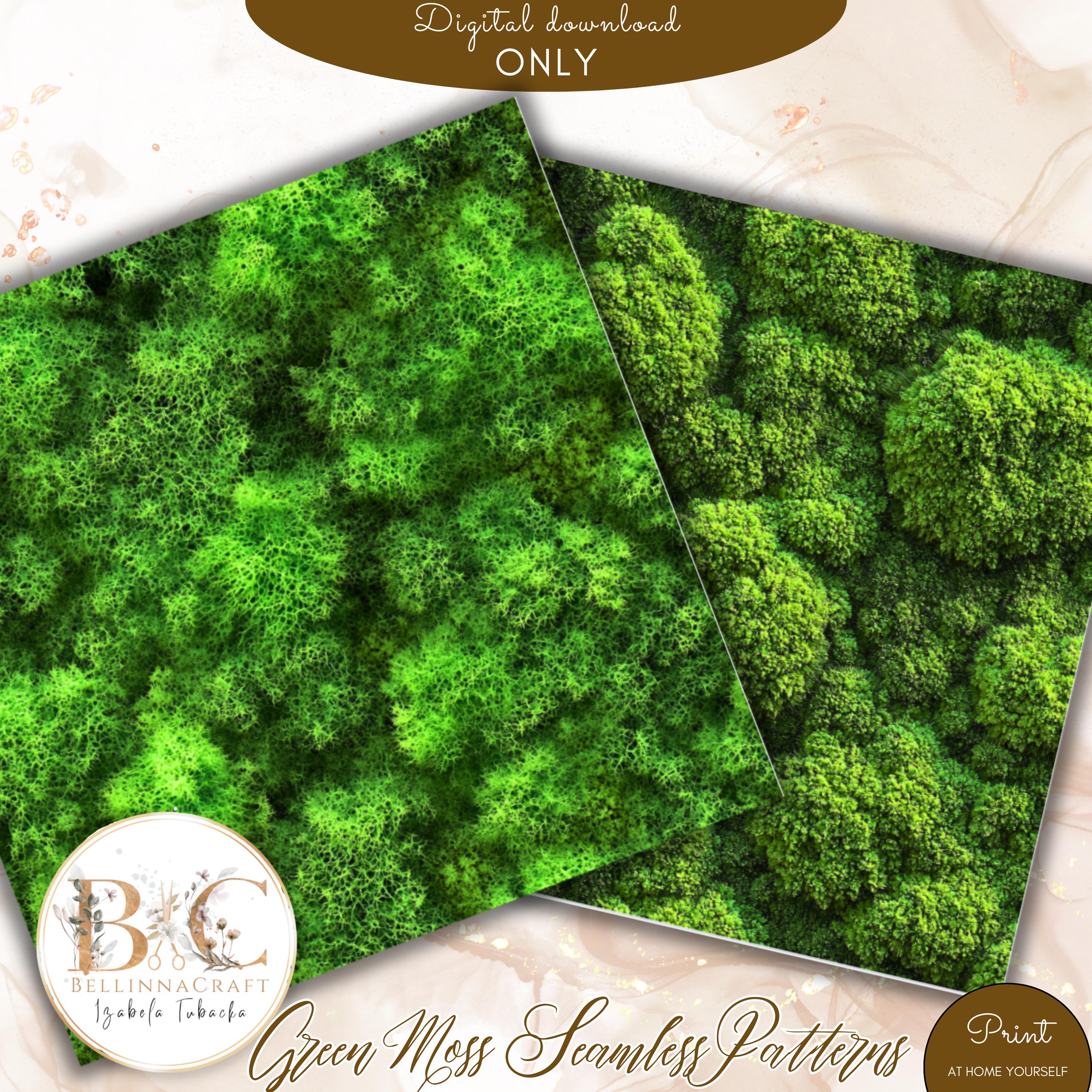 Green Moss Seamless Digital Paper, Realistic Moss Seamless Pattern ...