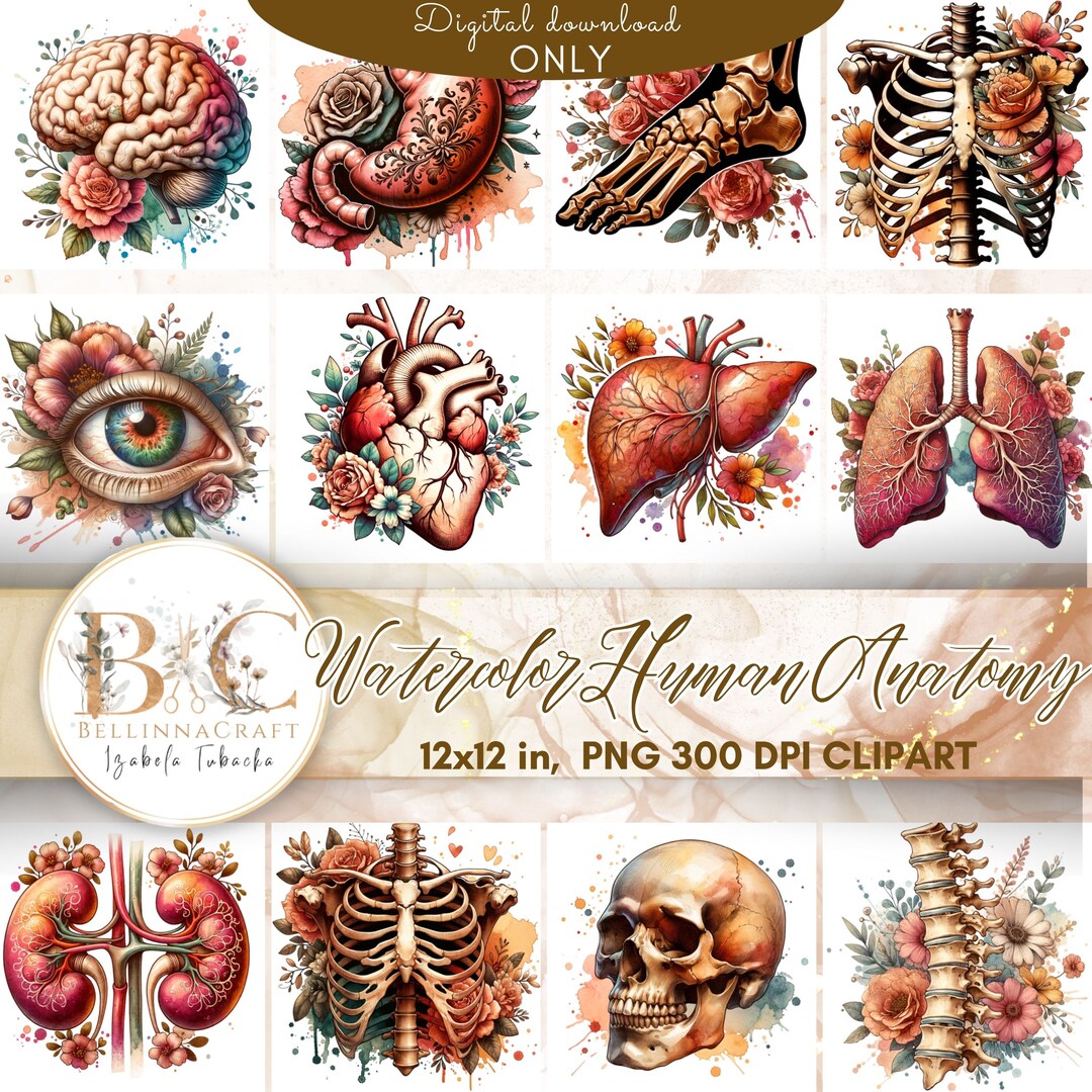 Watercolor Human Anatomy Ephemera Clipart Bundle, Watercolor Clipart ...