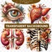 Watercolor Human Anatomy Ephemera Clipart Bundle, Watercolor Clipart ...