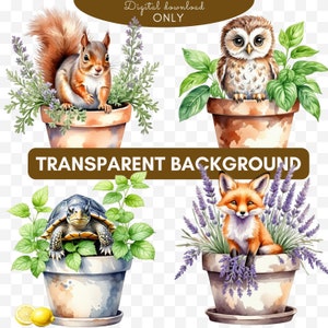 Watercolor Pots With Herbs and Animals Clipart, PNG, Cute Animals ...