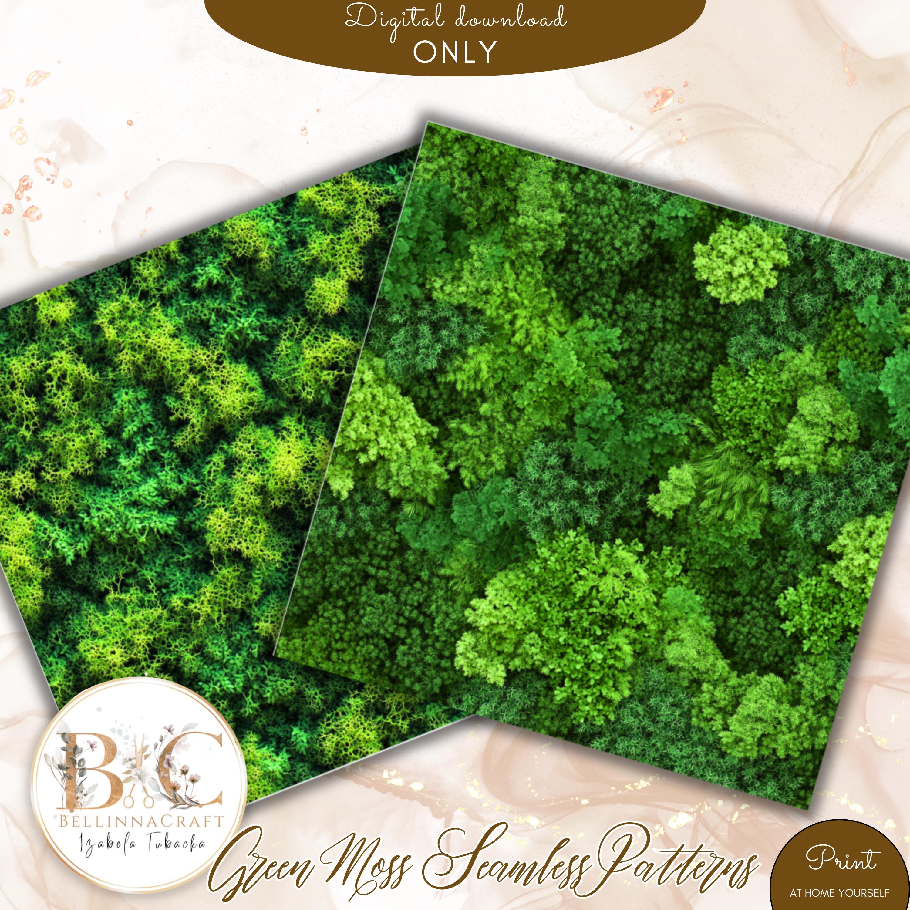 Green Moss Seamless Digital Paper, Realistic Moss Seamless Pattern ...
