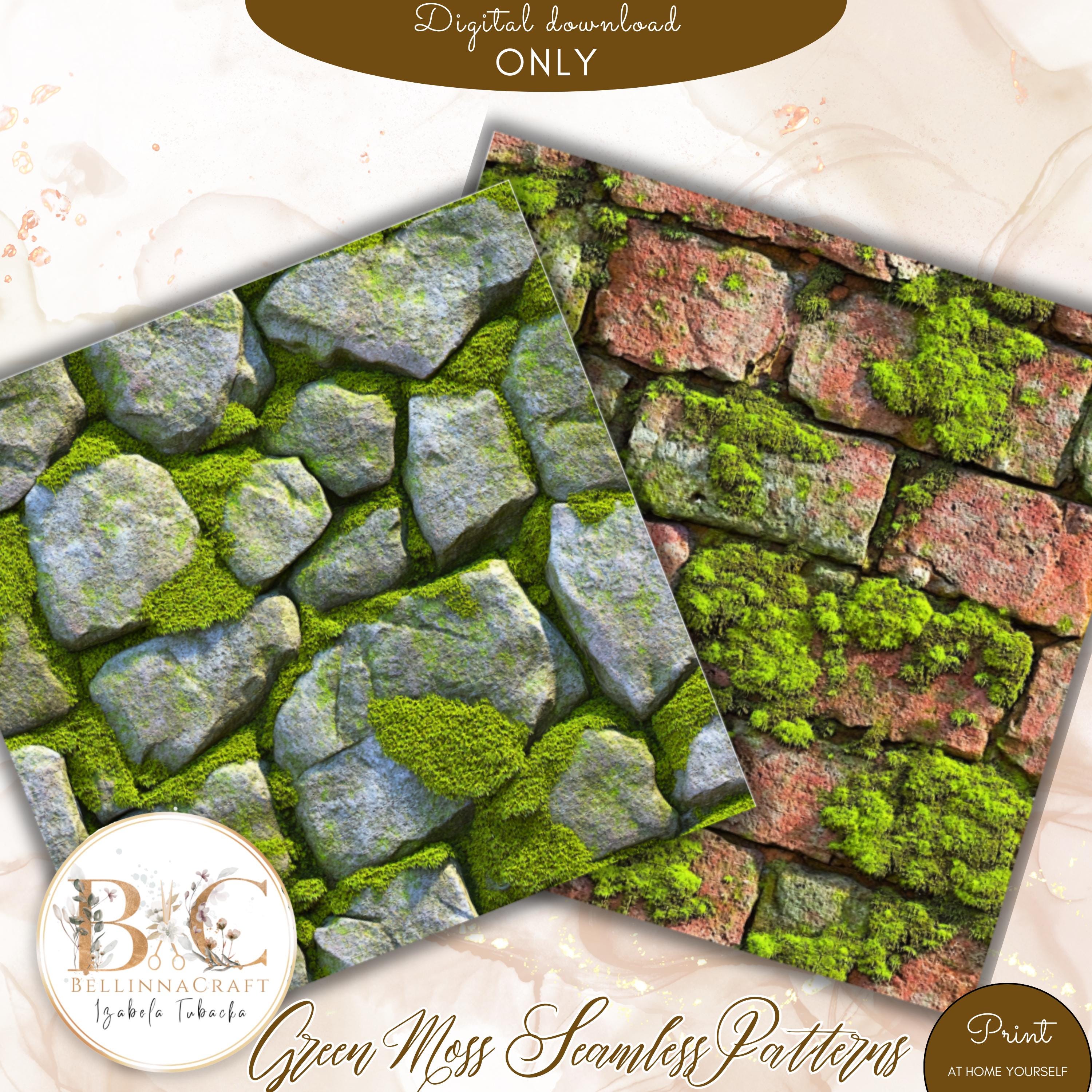 Green Moss Seamless Digital Paper, Realistic Moss Seamless Pattern ...