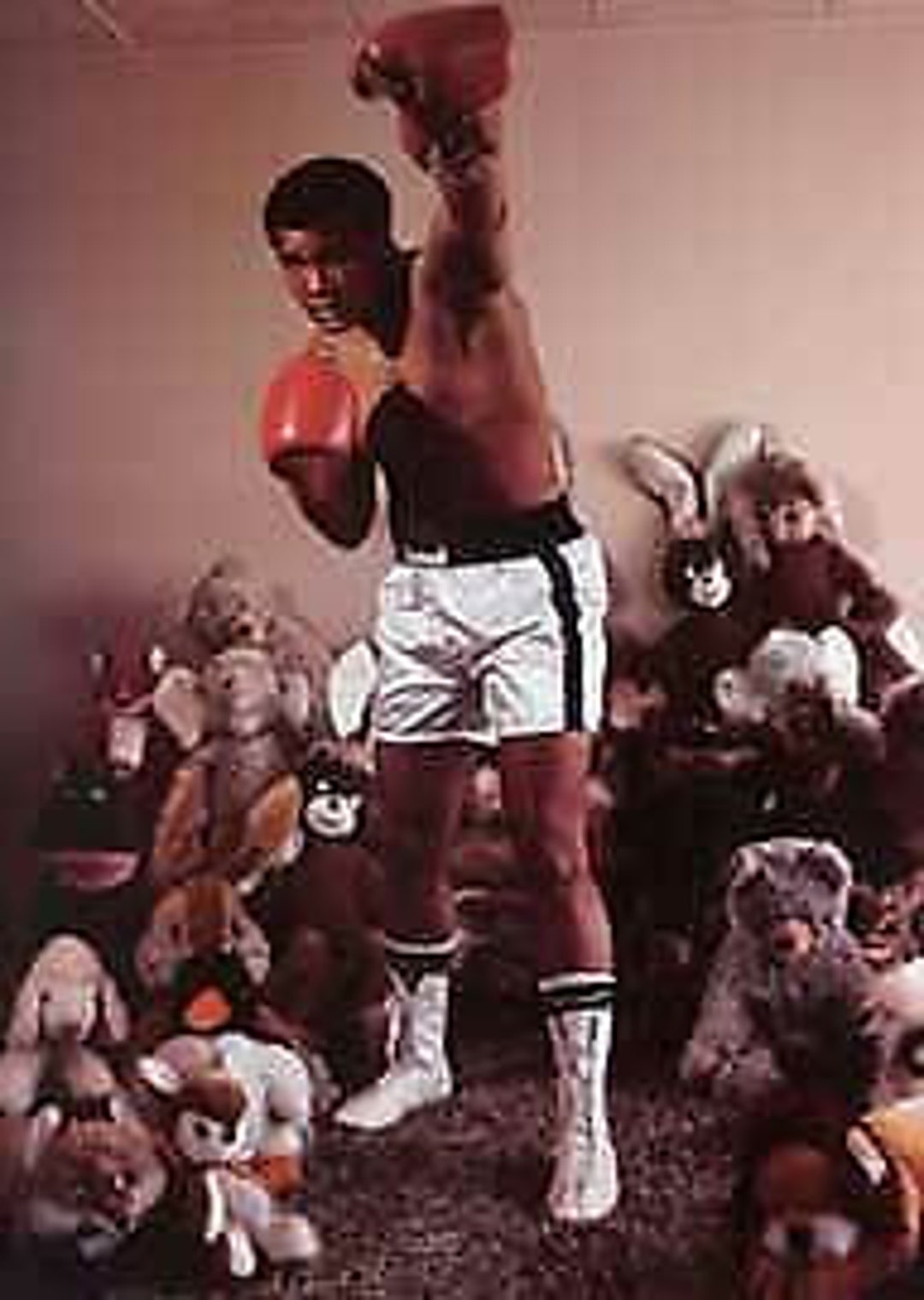 Charles Paul Wilp -original Edition 500 - Motif Muhammed Ali 02 ...