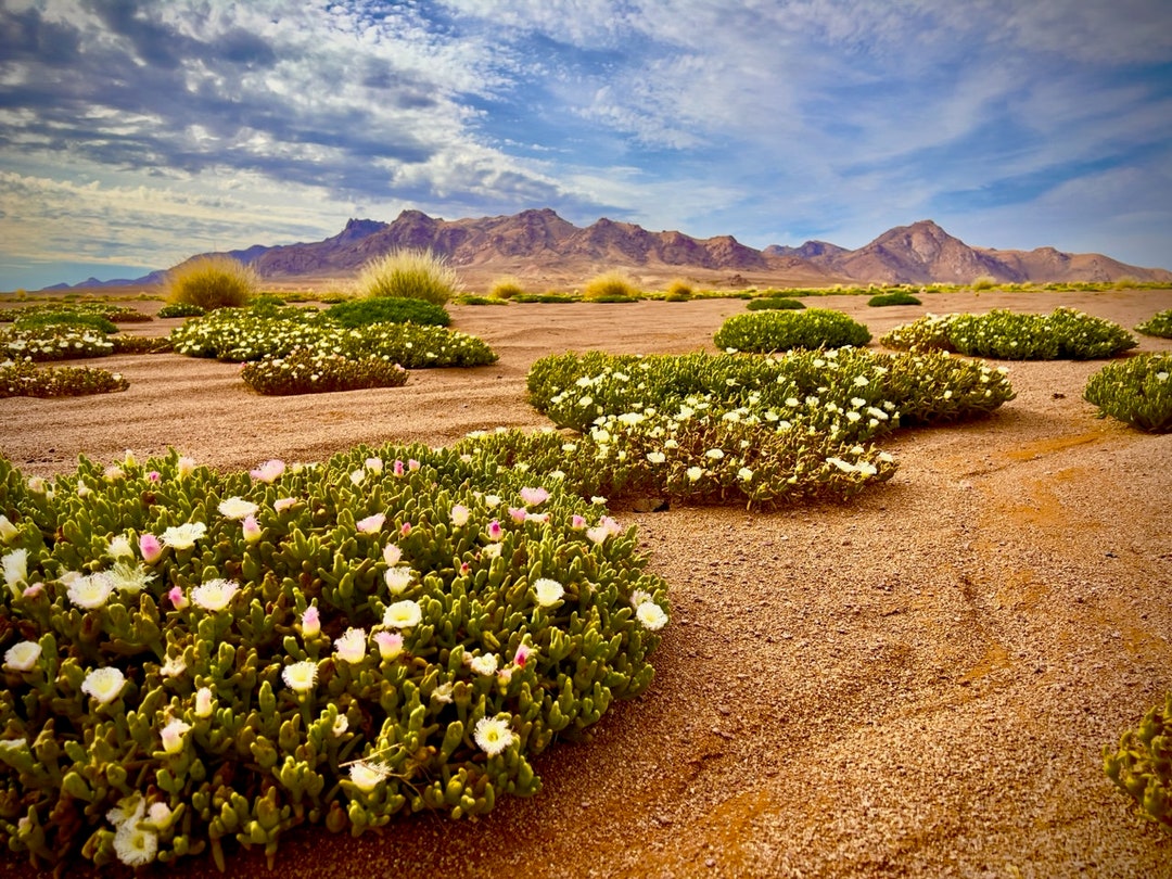 Art With Love M.detter High-resolution Ultra HD Photographs ...