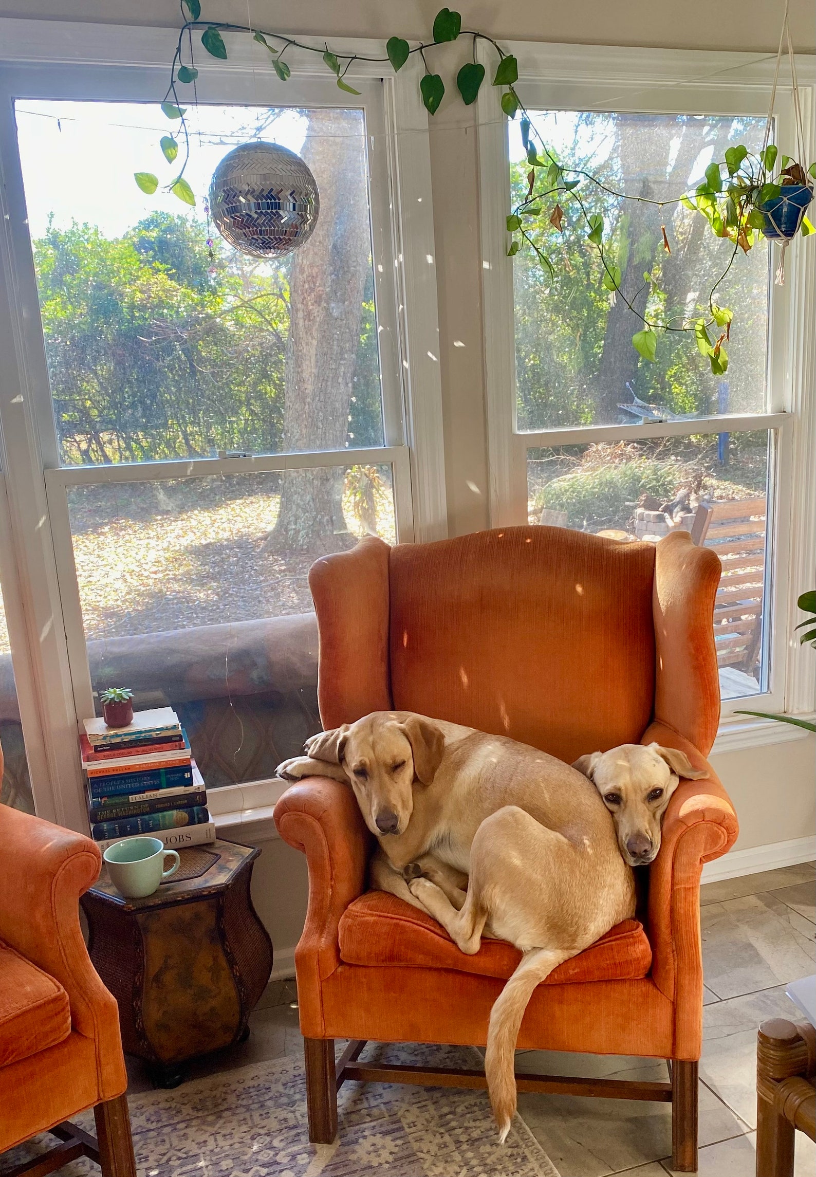 Handmade Mosaic Disco Ball With Unique Design for Home Decor, Parties ...