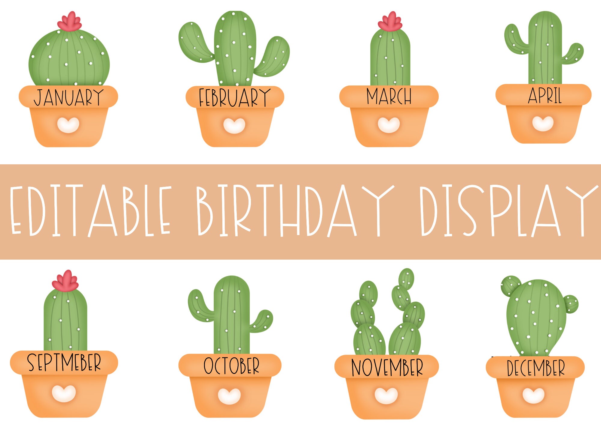BOHO CACTUS Classroom Birthday Displays - Etsy