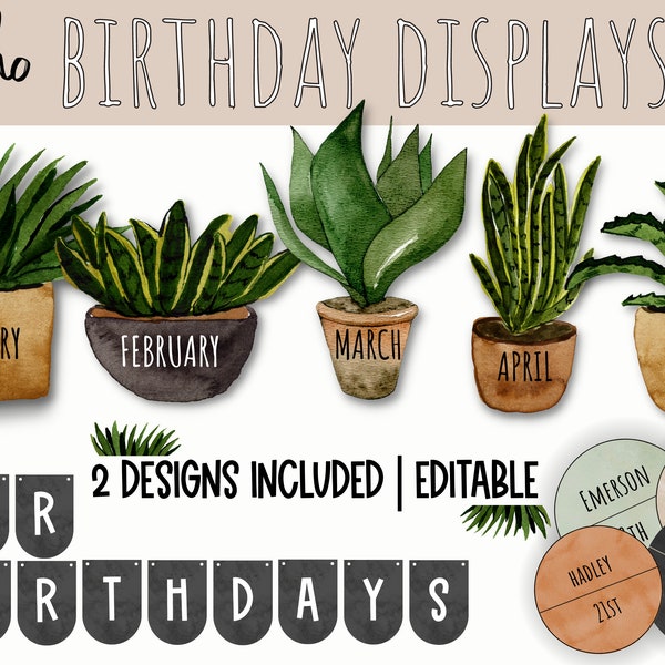 Classroom Birthday - Etsy