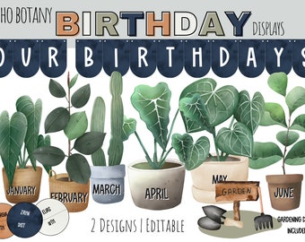 BRIGHT CUPCAKE CLASSROOM Birthday Display Modern Editable All About Me ...