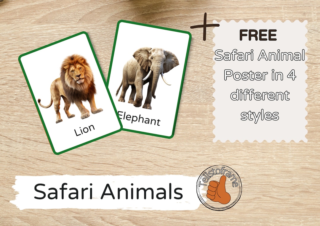 16 Educational Safari Animal Flash Cards Set With Bonus Poster - Etsy