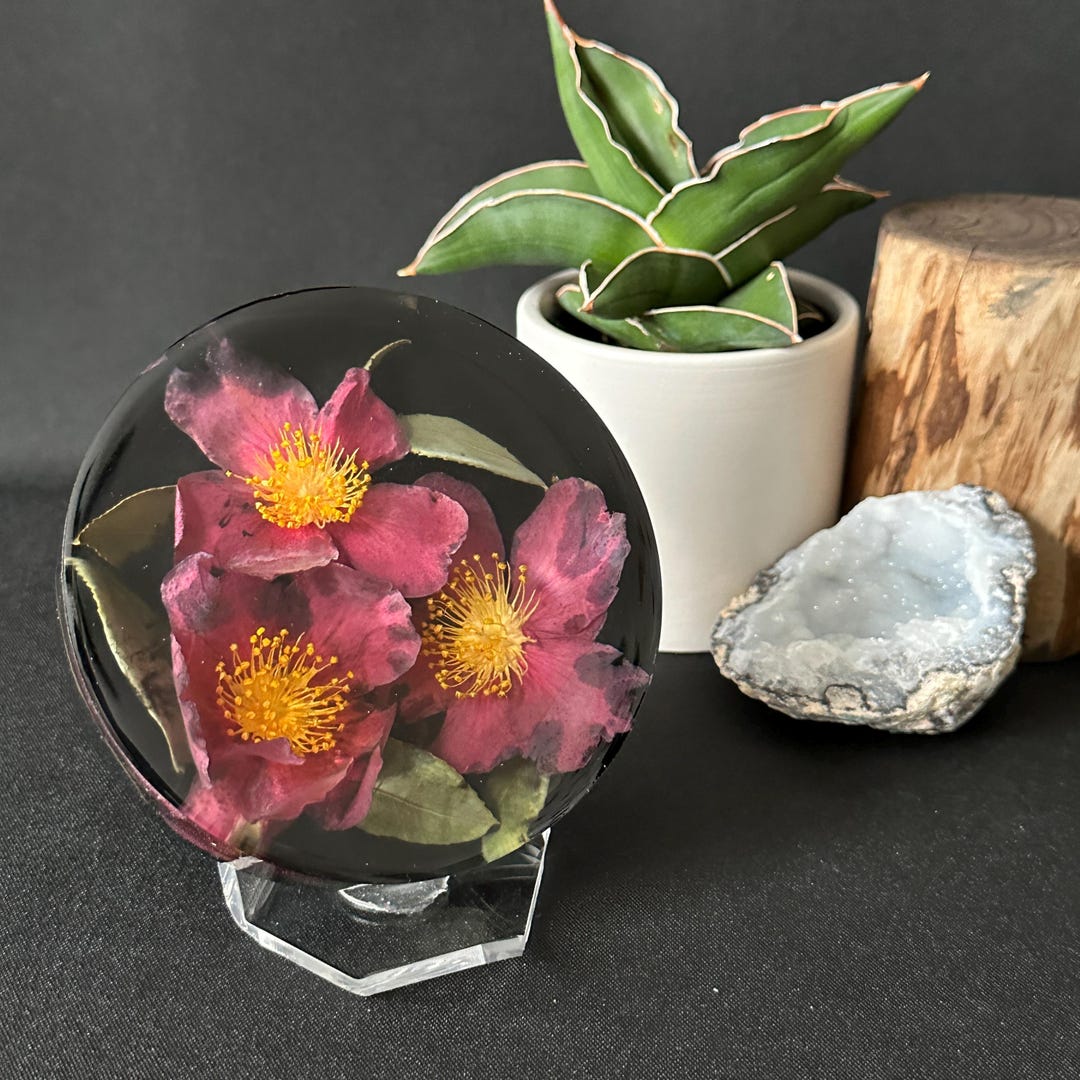 Camellia Epoxy Resin Art: Dark Floral Paperweight With Real Red Flowers ...